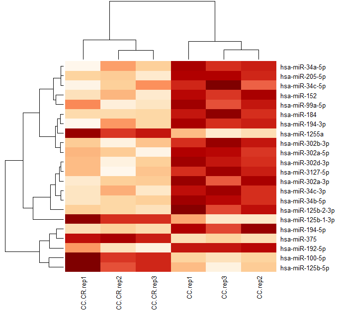 【R语言】热图绘制-heatmap+RColorBrewer配色方案 - 知乎