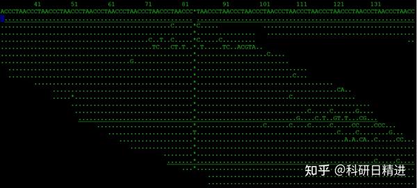 操作SAM文件,就用Samtools工具集 - 知乎