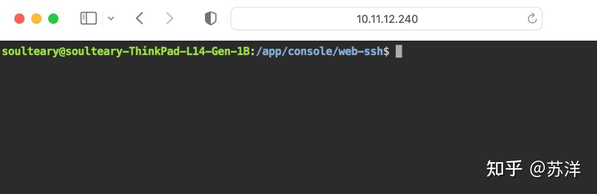 使用 Docker、Nginx 和 ttyd 提供稳定的 Web 终端服务 - 知乎