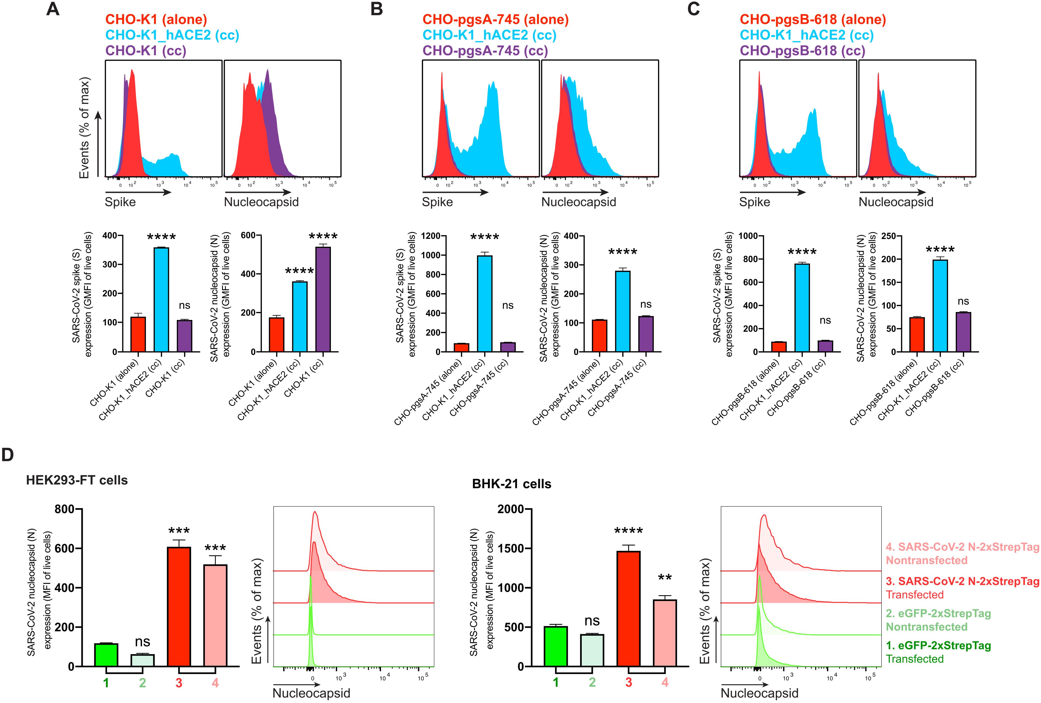 Science Advances|细胞表面SARS-CoV-2核衣壳蛋白调节先天性和适应性免疫 - 知乎