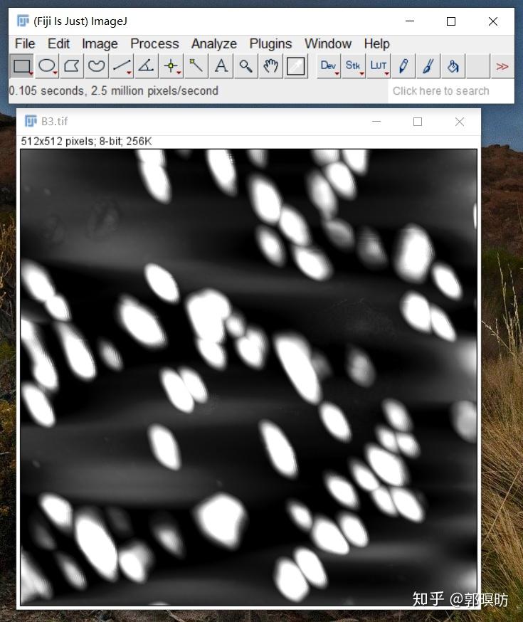 ImageJ使用心得之Particle Analysis （二） - 知乎