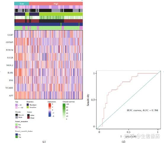 单细胞联合bulk RNA-seq分析发现氧化应激基因多功能，疾病分型+预后模型+机器学习让你的SCI手到擒来！ - 知乎