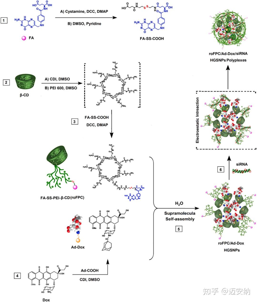聚乙烯亚胺-环糊精纳米粒用于siRNA和DOX的共递送 - 知乎