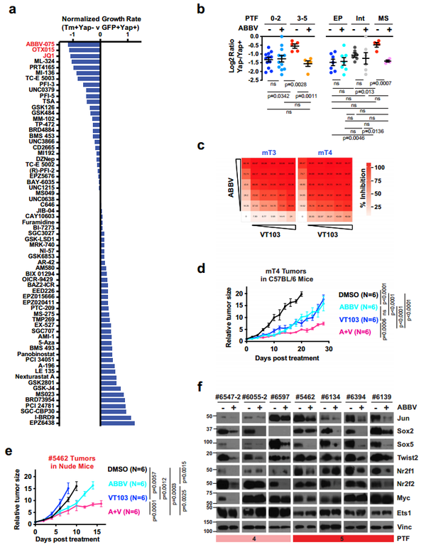 Nature commu|晚期胰腺导管腺癌中自发进化的祖细胞niches逃避Yap癌基因成瘾 - 知乎