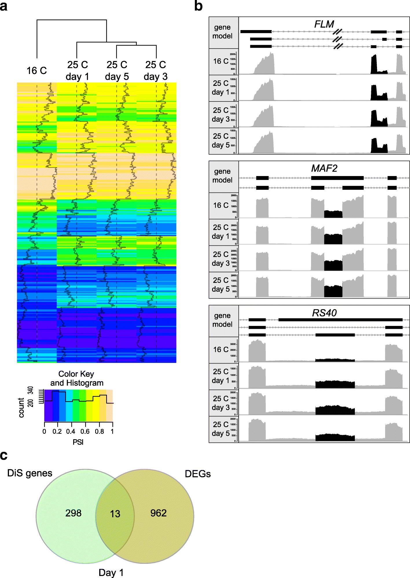 易基因｜植物育种：ChIP-seq(组蛋白)揭示H3K36me修饰影响温度诱导的植物可变剪接和开花 - 知乎