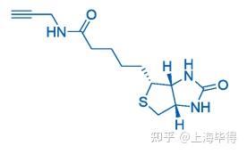 Biotin-linker：化学生物学中的独特应用 - 知乎