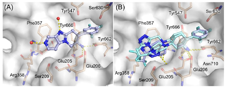 DPP-4 抑制剂、及长效药物设计原理 - 知乎