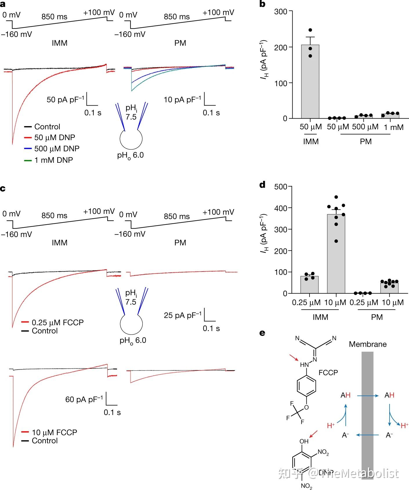 代谢学人--Nature：U，执行A计划！线粒体UCP1/AAC机制大揭秘 - 知乎