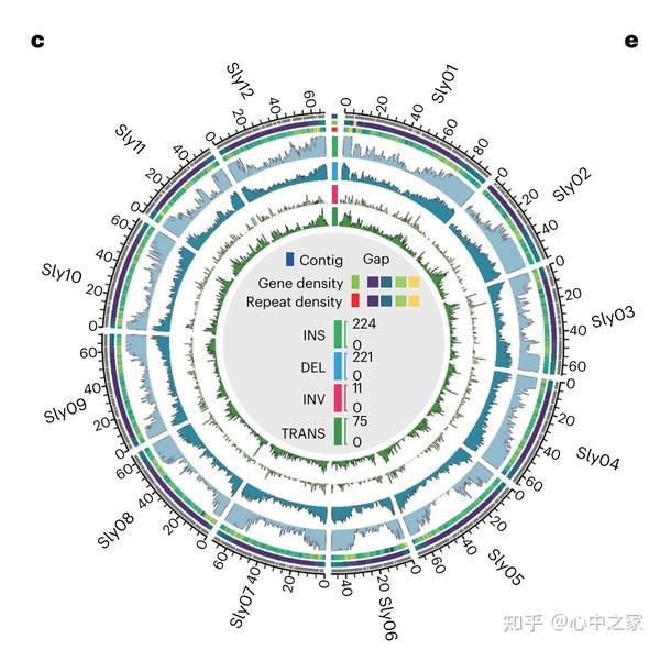 超级泛基因组分析突出了野生和栽培番茄物种的基因组多样性和结构变异 - 知乎