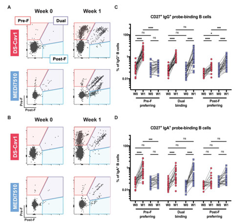 【耀文解读】Science年度突破：呼吸道合胞病毒RSV疫苗临床进展解读 - 知乎