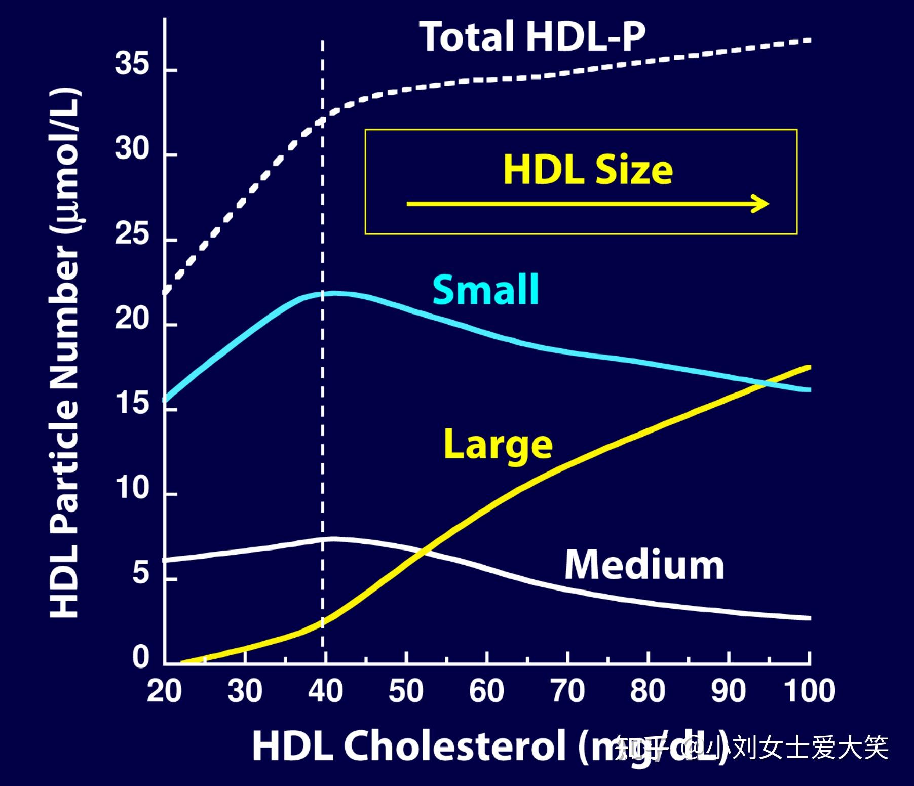 可能是关于“胆固醇“最真实、详细、系统的知识（7） - 知乎