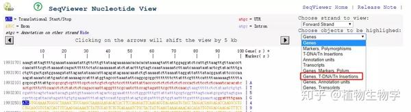 拟南芥种子订购详细攻略-TAIR-ABRC篇 - 知乎