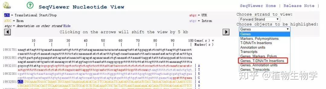 拟南芥种子订购详细攻略-TAIR-ABRC篇 - 知乎