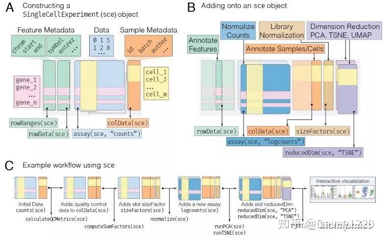 使用scater包进行单细胞测序分析（一）：数据导入与sce对象构建 - 知乎