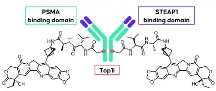 12款创新抗癌疗法公开亮相！ - 知乎