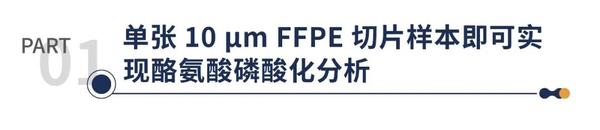文献解读 | FFPE 样本磷酸化蛋白组学分析揭示肿瘤特异性信号网络 - 知乎