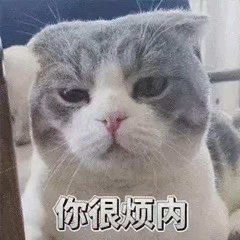 生气猫猫表情包，搞笑猫猫表情包,猫猫头表情包 - 知乎