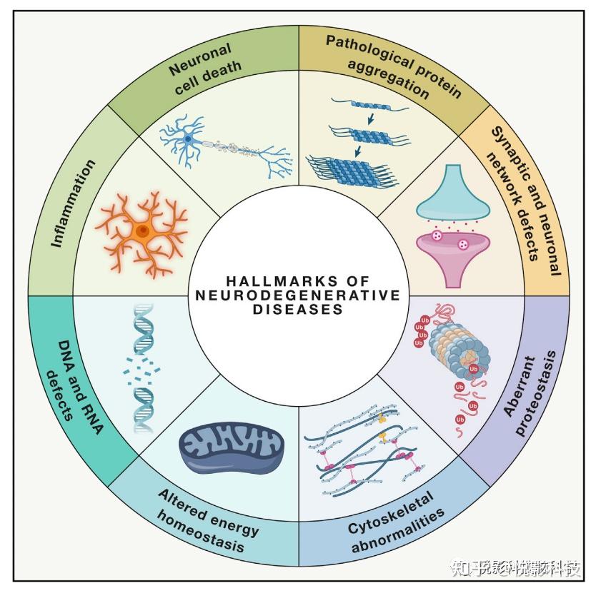 重磅综述：神经退行性疾病的特征 - 知乎