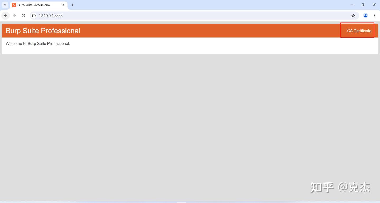 微信小程序 Burp+proxifier 抓包详细教程 - 知乎