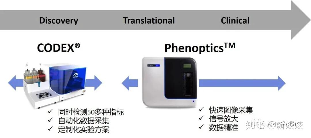 CODEX超多色免疫荧光和Phenoptics多色免疫荧光在神经科学研究中的应用 - 知乎
