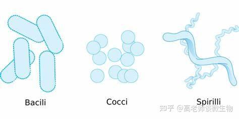 噬菌体在发酵中，来源、检测、防治、抑制一文全懂 - 知乎