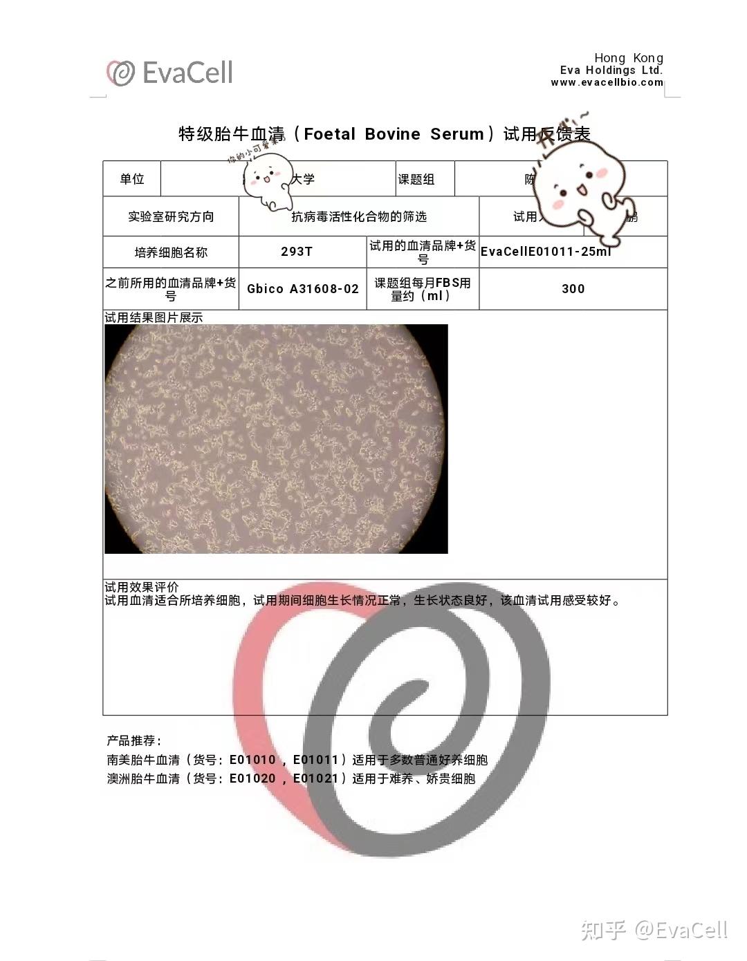 293T细胞培养要点 - 知乎