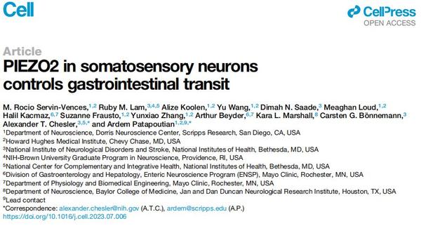 Cell：诺奖得主完善背根神经节中PIEZO2蛋白的作用，调控消化过程 - 知乎
