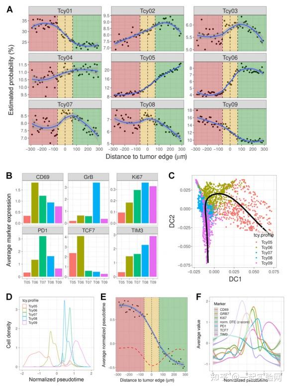 绘制转移性黑色素瘤的免疫图谱揭示了预测免疫治疗反应的局部细胞-细胞相互作用 - 知乎