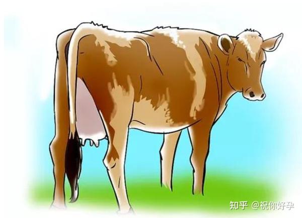 人工授精操作指南(漫画版) 知乎