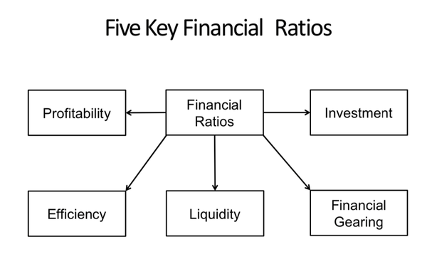 Financial statement analysis五类ratios理解+助记 - 知乎