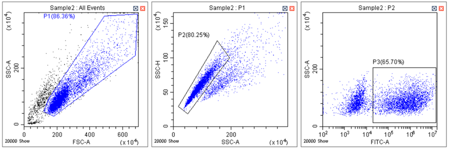 人人都是流式高手：GFP分选，这还有我不会的？ - 知乎