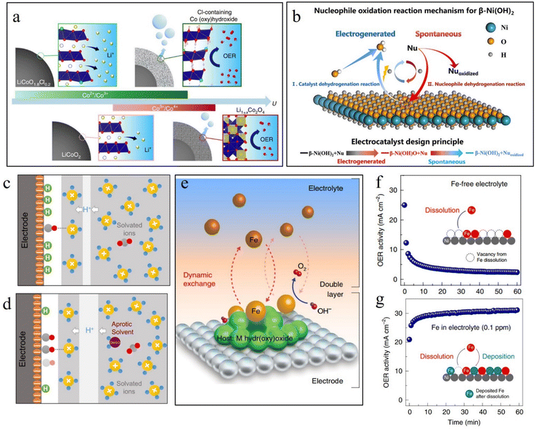 电催化动态机制：超级综述及论文汇总！王双印Chem Soc Rev！郑海梅Nature！杨培东Nat Catal！ - 知乎