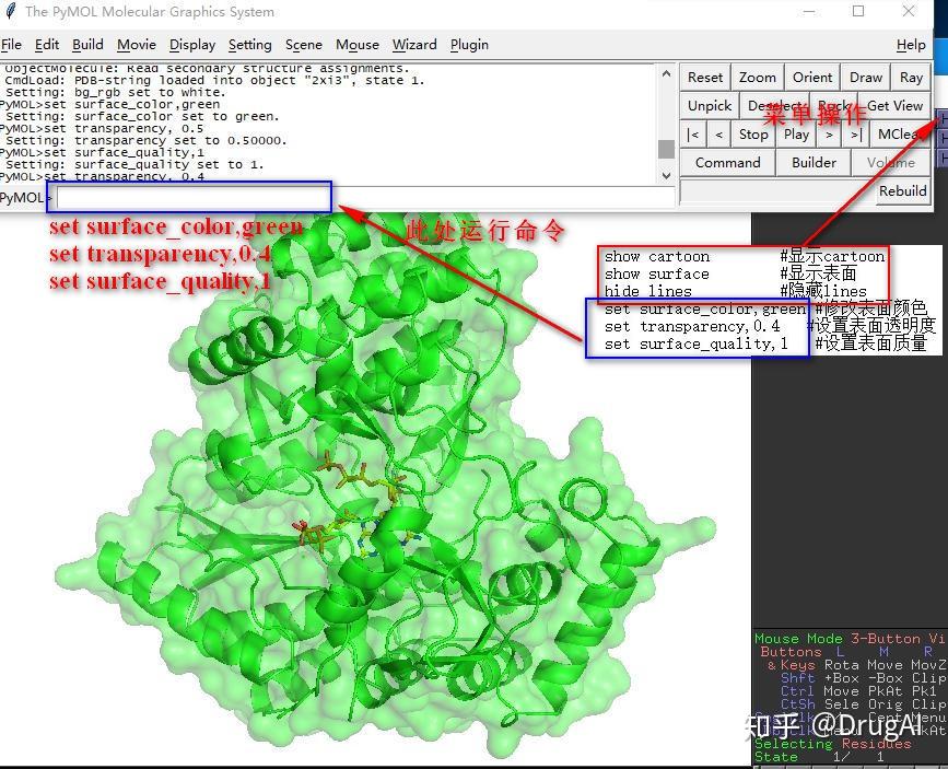 Pymol作图技巧之cartoon和surface镶嵌模型 - 知乎