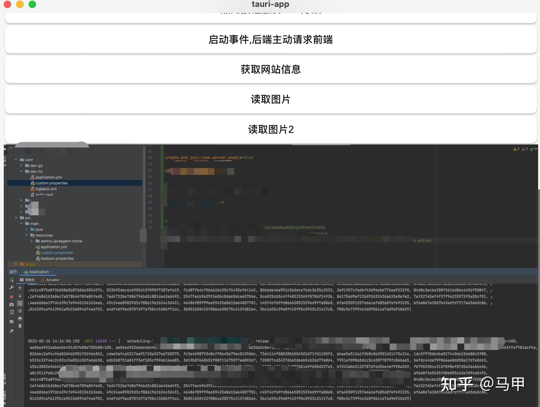 使用Tauri开发桌面应用 - 知乎