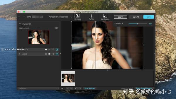 Perfectly Clear Workbench for mac(智能图像清晰度处理软件) - 知乎