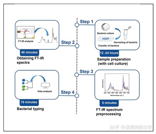 STAR Protocols︱宁波大学余绍宁/茅台科学与技术研究院杨帆研究团队发展红外光谱微生物分型新方法 - 知乎