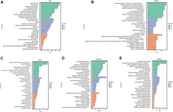 4+WGCNA非肿瘤生信分析文章，学会这个思路，让你发表SCI如同开外挂！！！ - 知乎