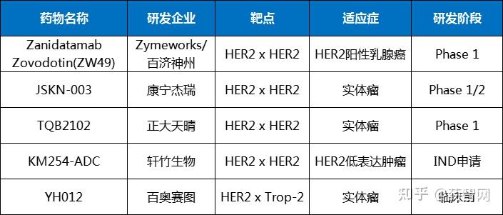 HER2靶点在研及上市药物分析 - 知乎