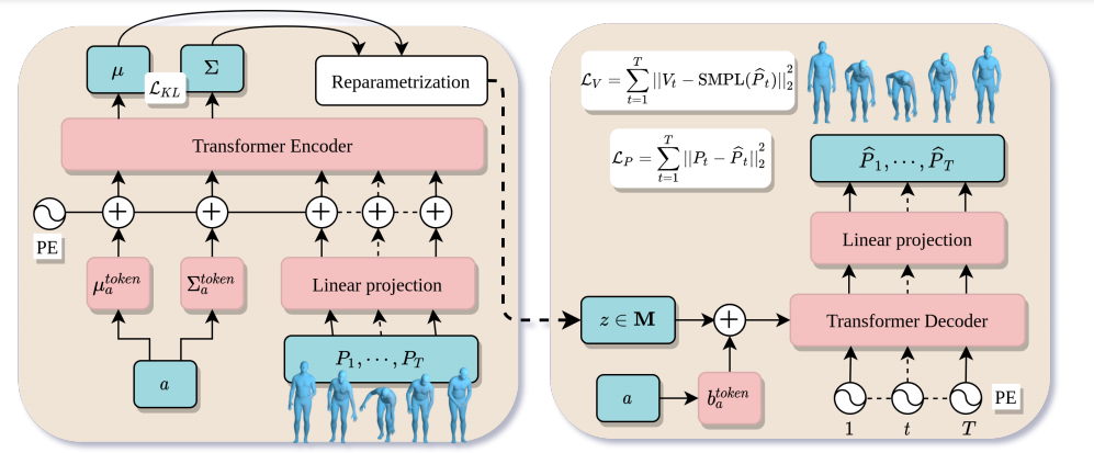 全新基于 Transformer 的 VAE 模型来合成动作条件下的人类运动 - 知乎