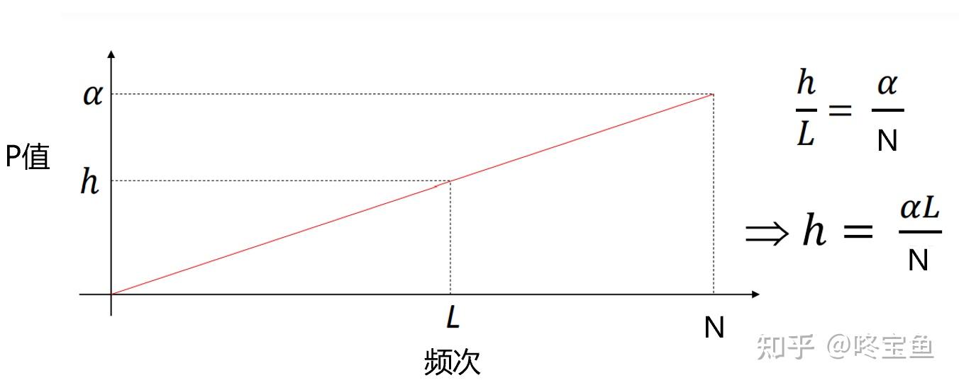 彻底理解Benjamini-Hochberg方法原理 - 知乎