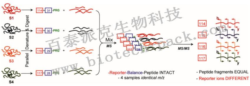 基于标签的蛋白质定量技术-iTRAQ，TMT，SILAC - 知乎