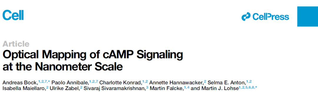 Cell｜有望结束争论：cAMP分子被“绑架”才是导致cAMP信号区域化的根本原因 - 知乎