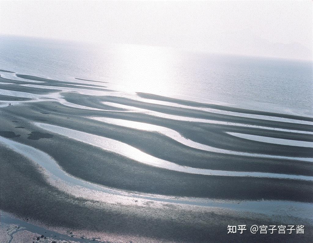 审美提高：川内伦子 100p - 知乎