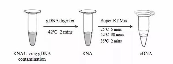 RT Master Mix for qPCR—高效反转录试剂 - 知乎