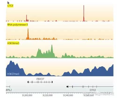 ChIP-Seq综述 - 知乎