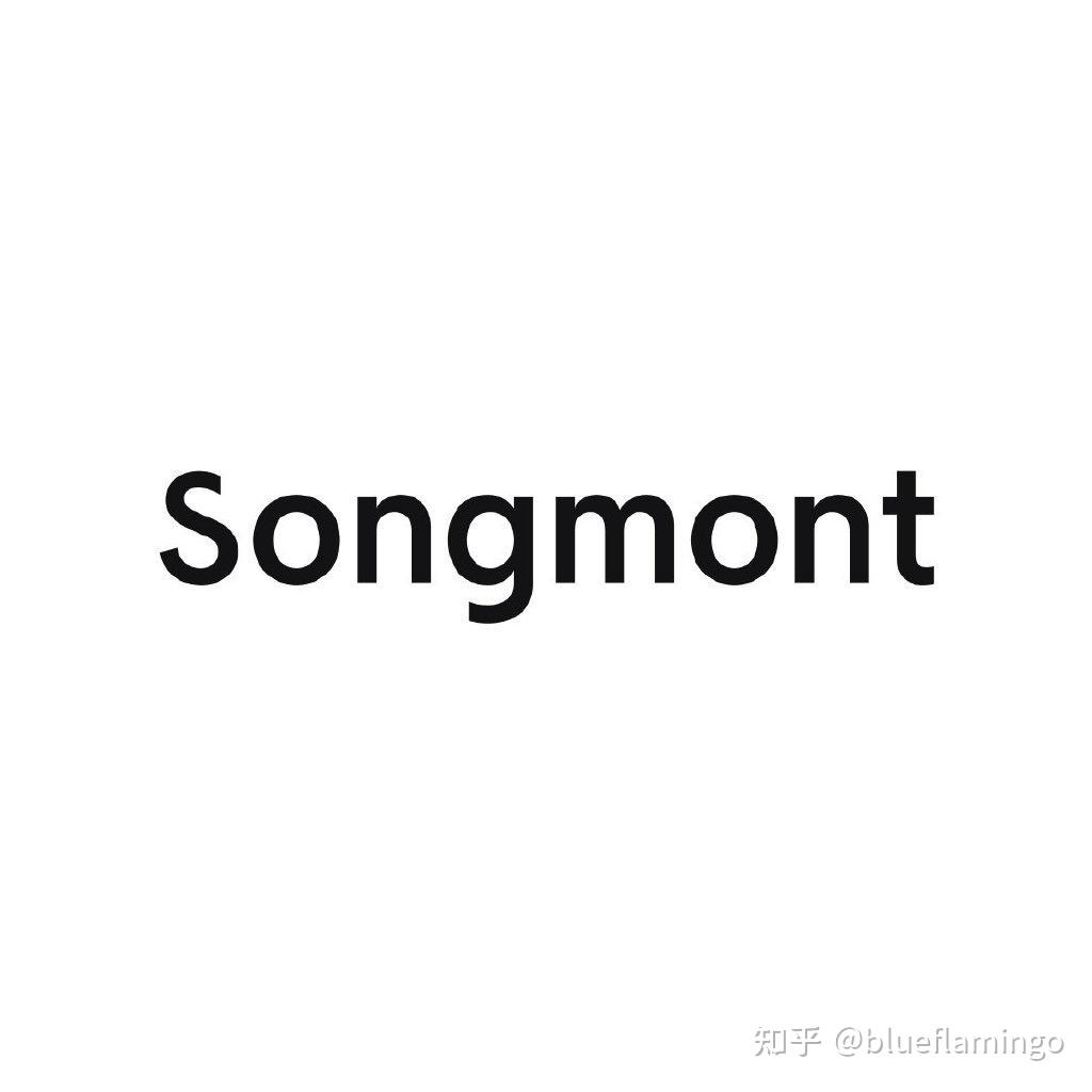 扒一扒国产包 崧Songmont 到底值得吗？ - 知乎