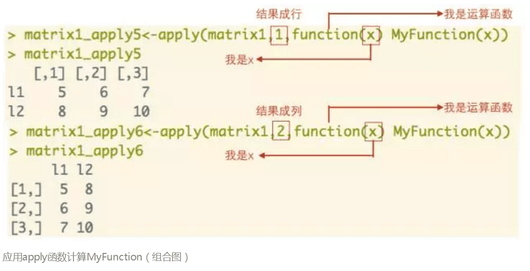 R点石成金三人组：apply,lapply,sapply - 知乎
