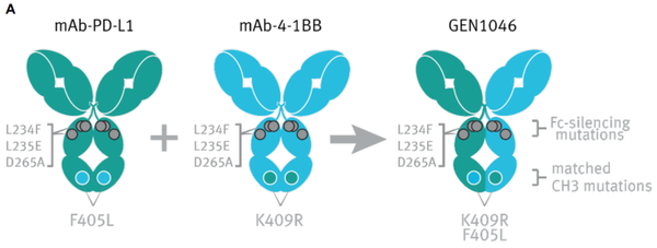 CANCER DISCOVERY | PD-L1×4-1BB双抗：GEN1046，攻坚免疫治疗耐药 - 知乎