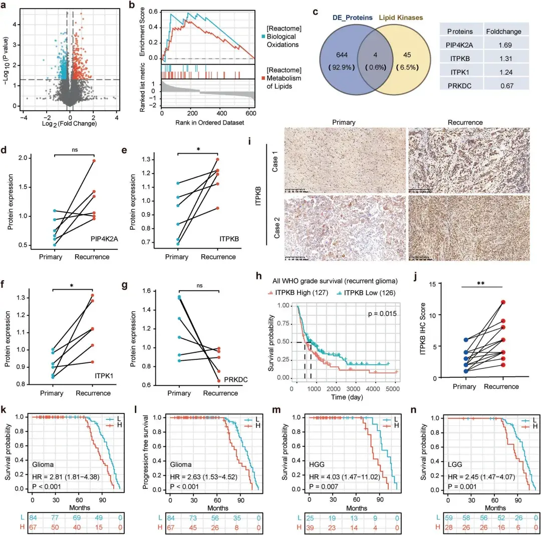 STTT | 中南大学湘雅医院揭示克服胶质母细胞瘤替莫唑胺耐药的新靶点 - 知乎